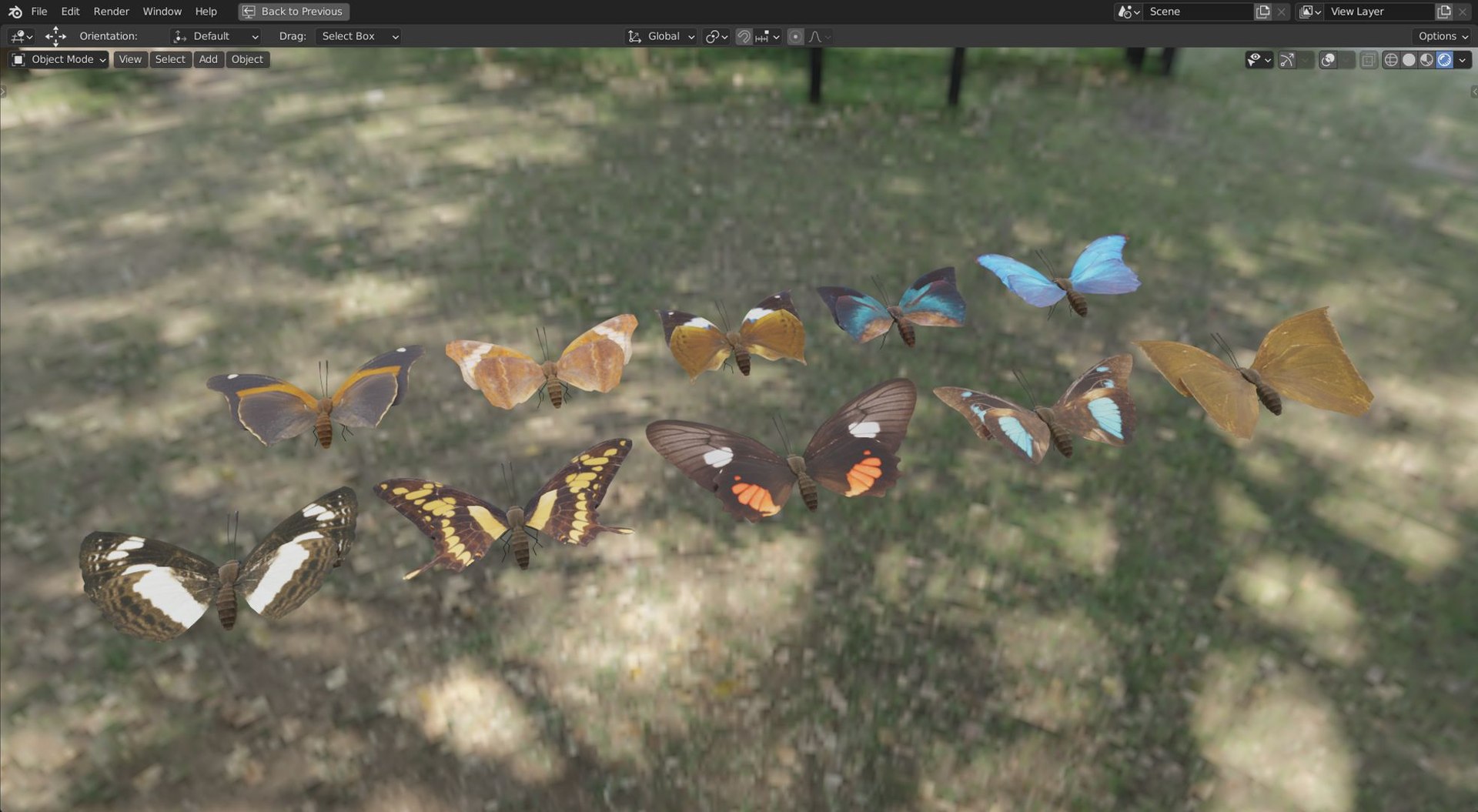 3D Butterfly Collection PBR Rigged Animated - TurboSquid 1782322