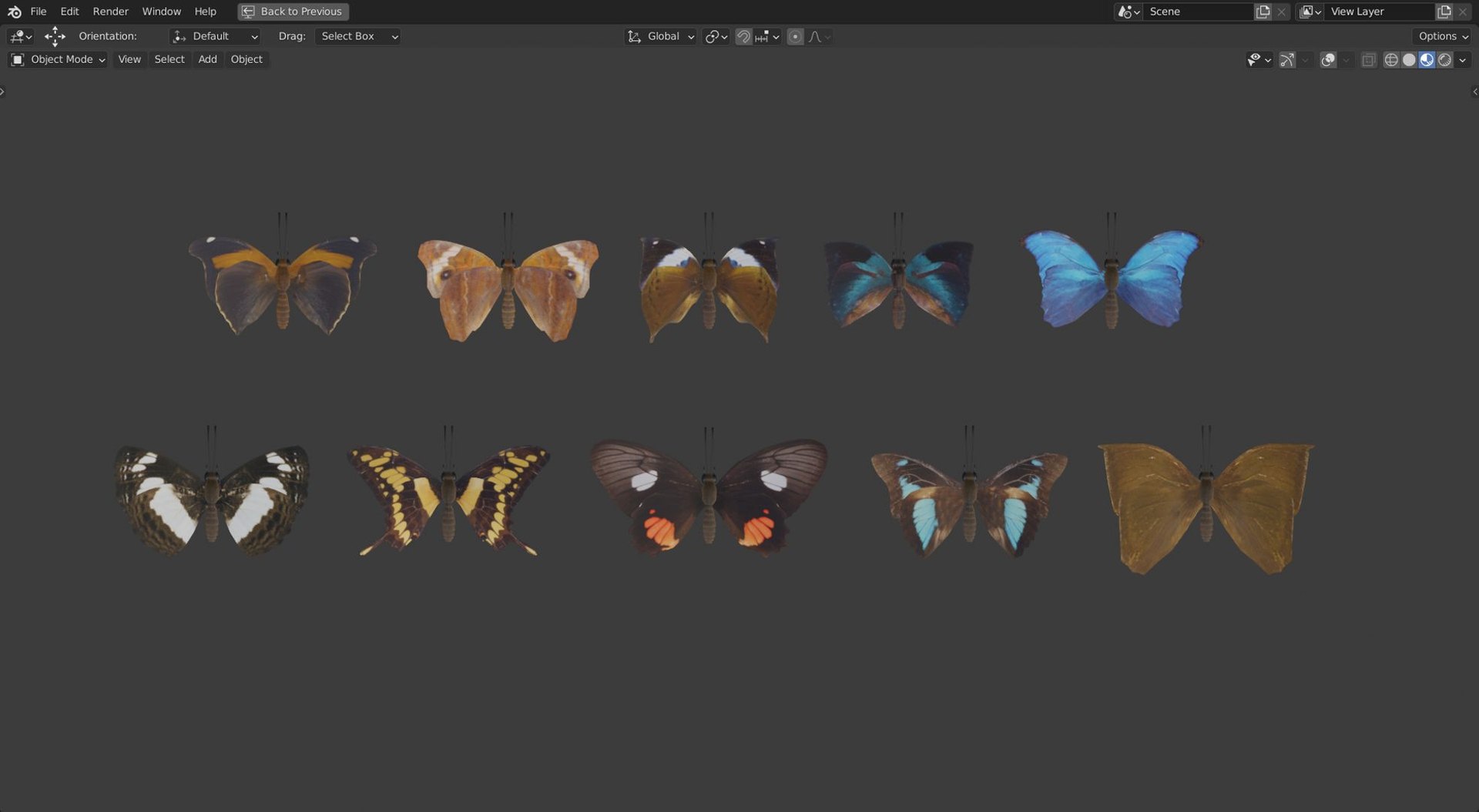3D Butterfly Collection PBR Rigged Animated - TurboSquid 1782322