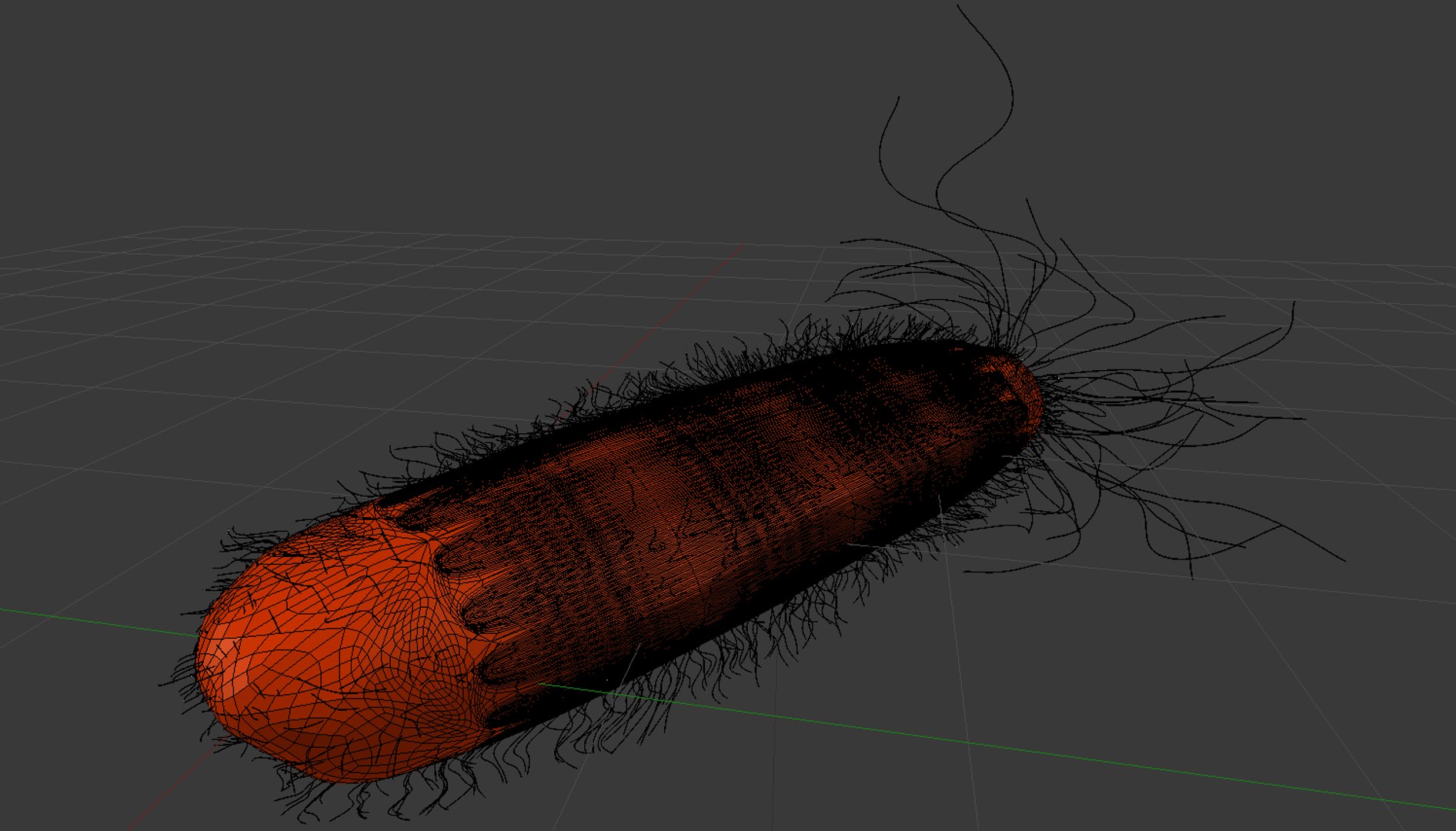 Bacterium Escherichia Coli 3D Model - TurboSquid 1238645