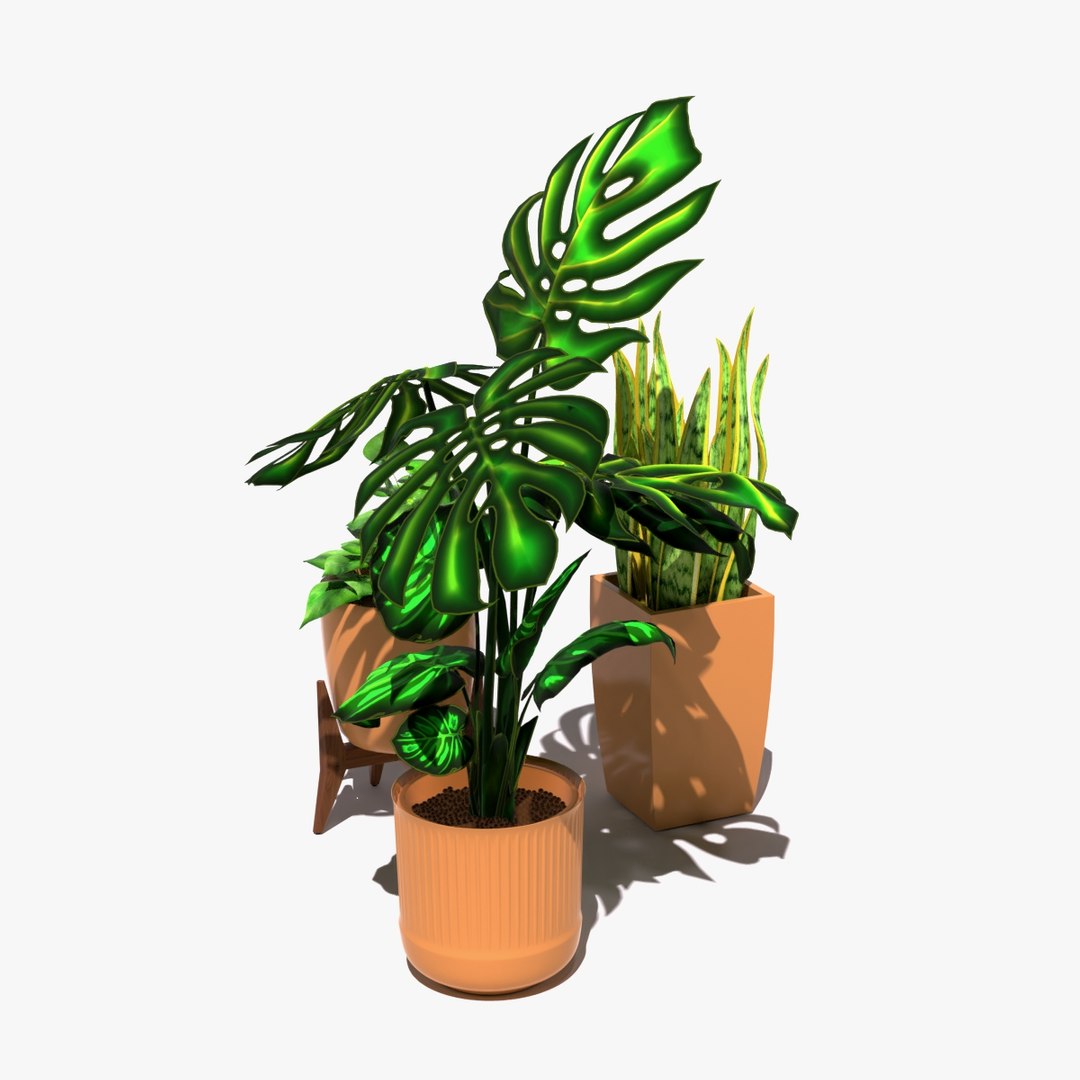 3D Plants Trio model - TurboSquid 1807163