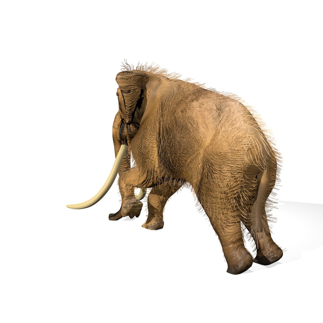 Mammoth 3d Model