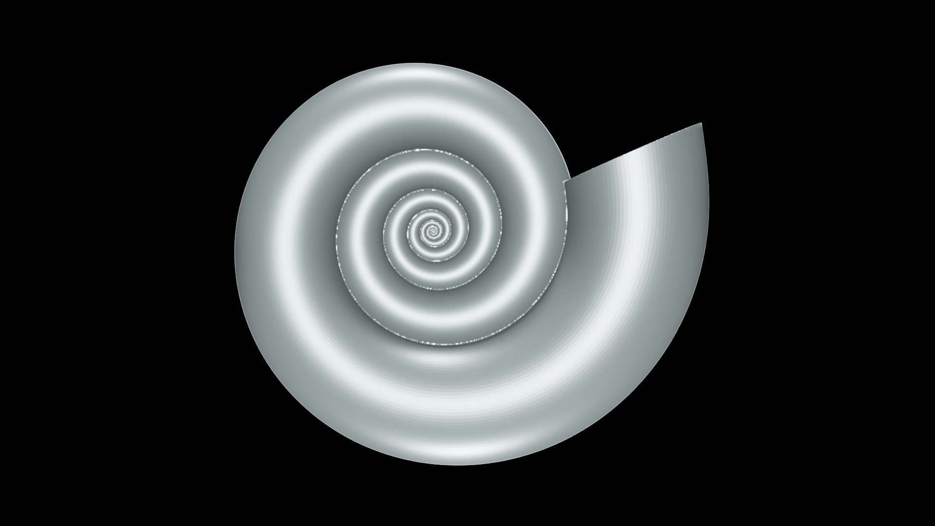 3D Serpenticone Conch Smooth Shell - TurboSquid 1480663