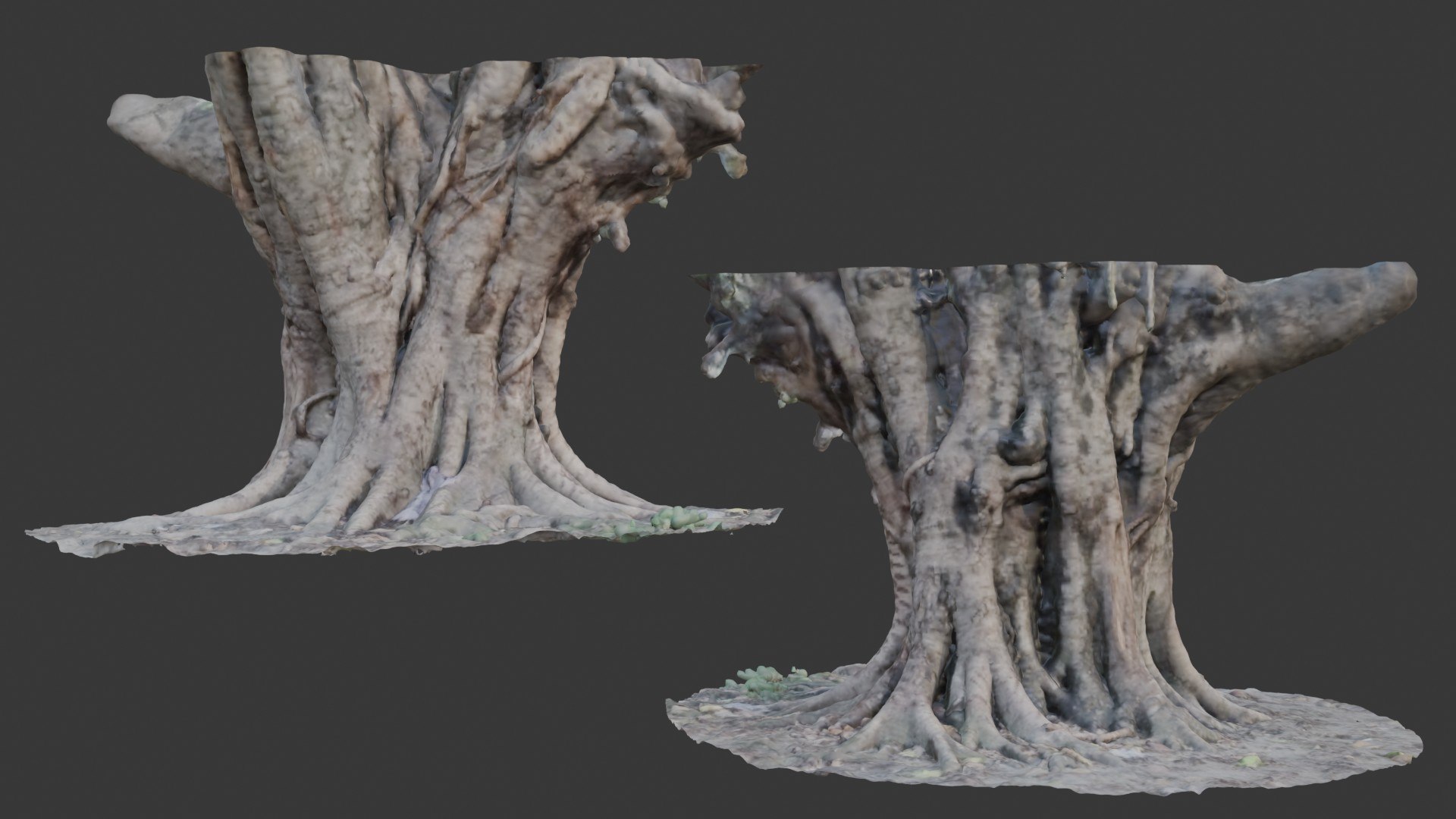 Complex Gnarled Tree Root Ball And Stump Debris 3D Scan 3D Model ...
