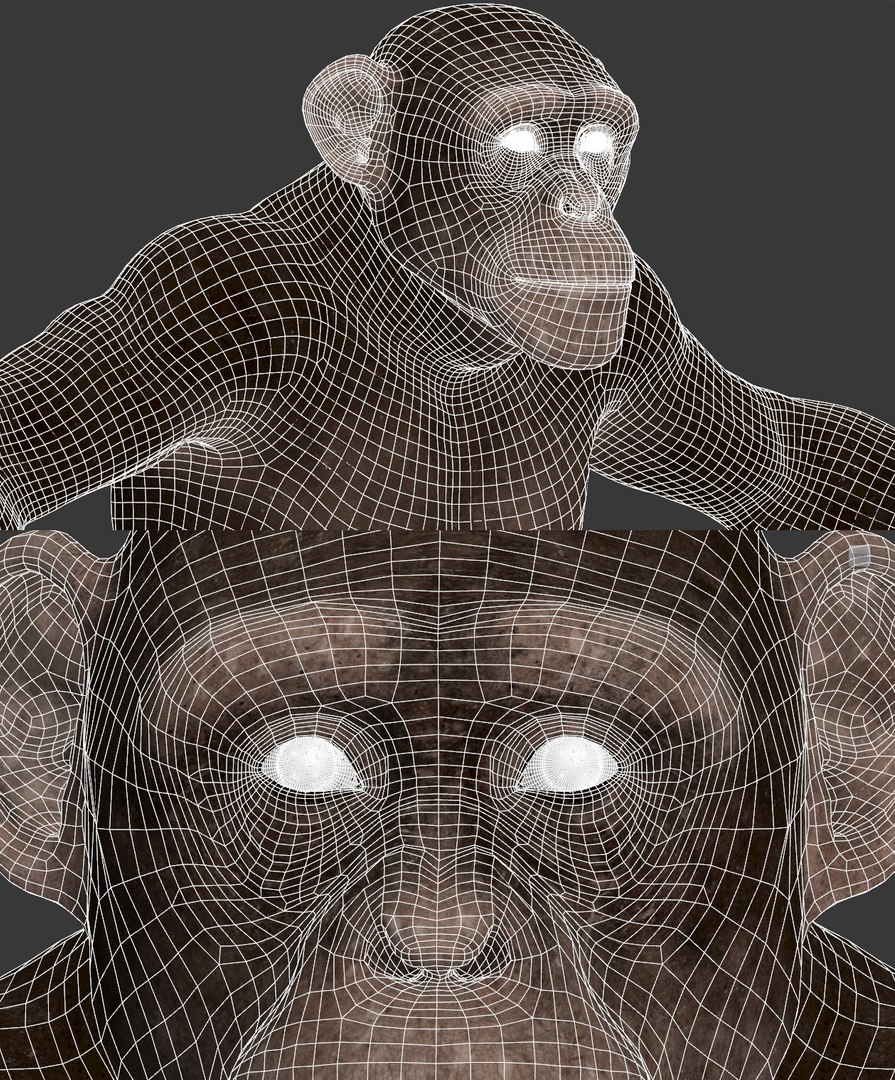 chimp - 3d max
