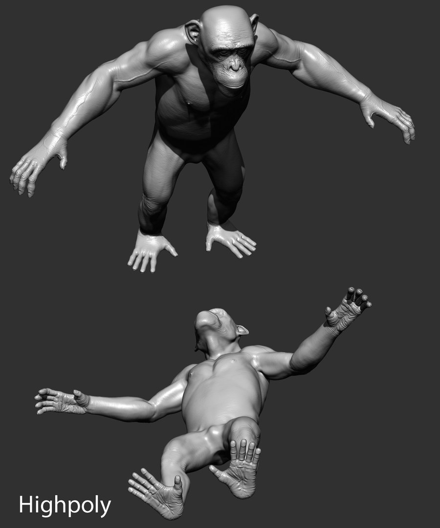 Chimp - 3d Max