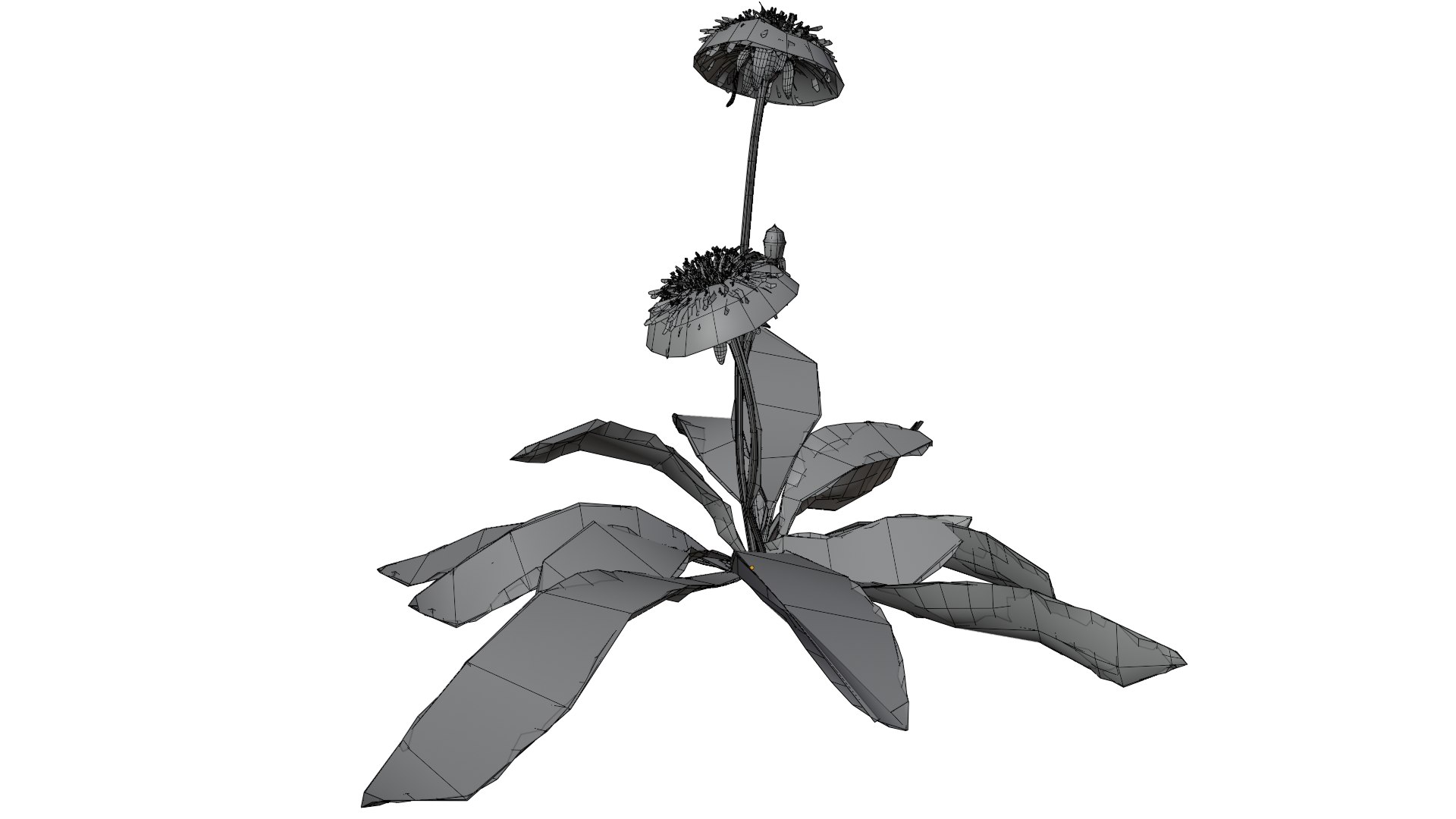 Dandelion Plant 3D Model - TurboSquid 2234007