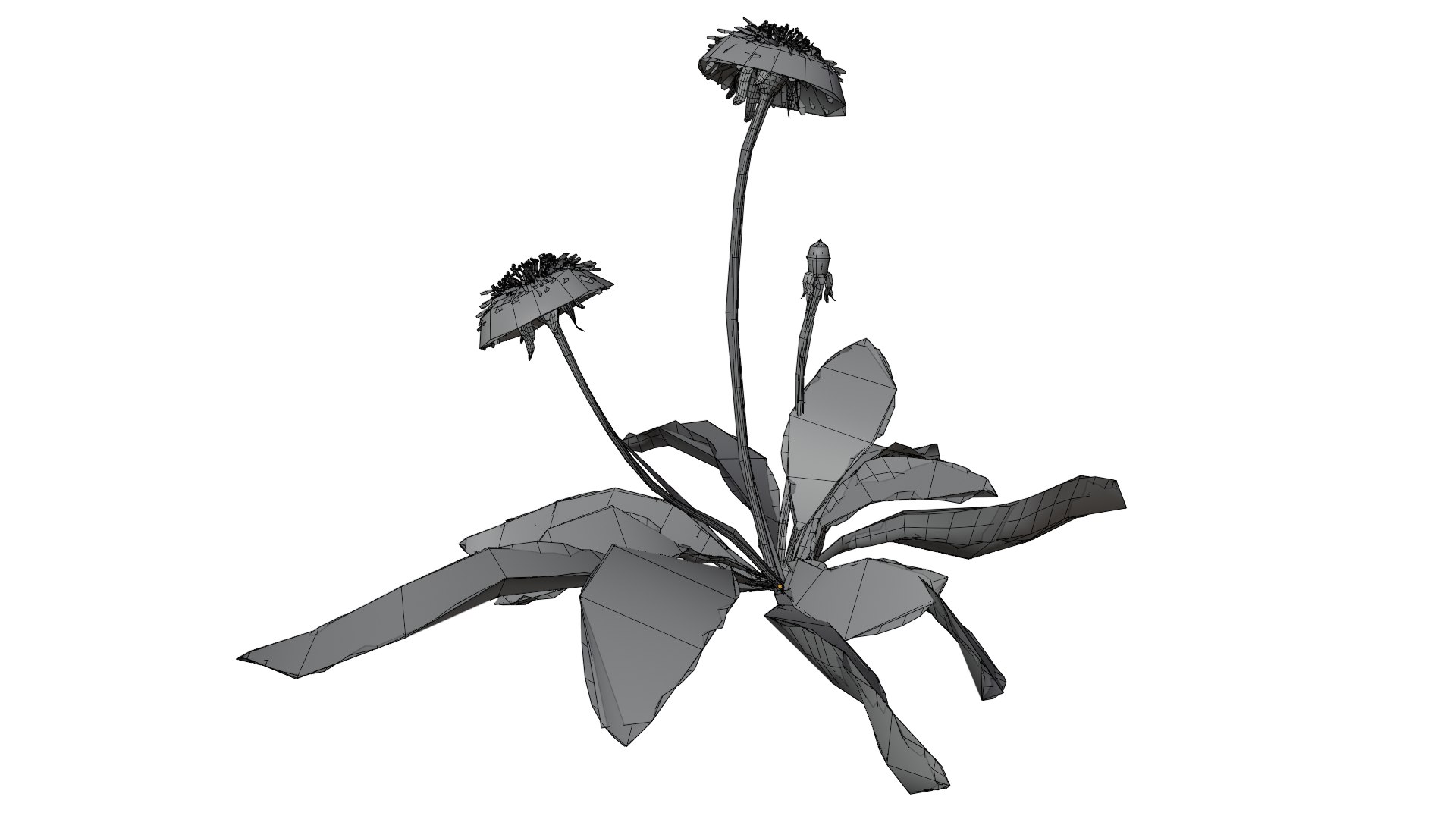 Dandelion Plant 3D Model - TurboSquid 2234007