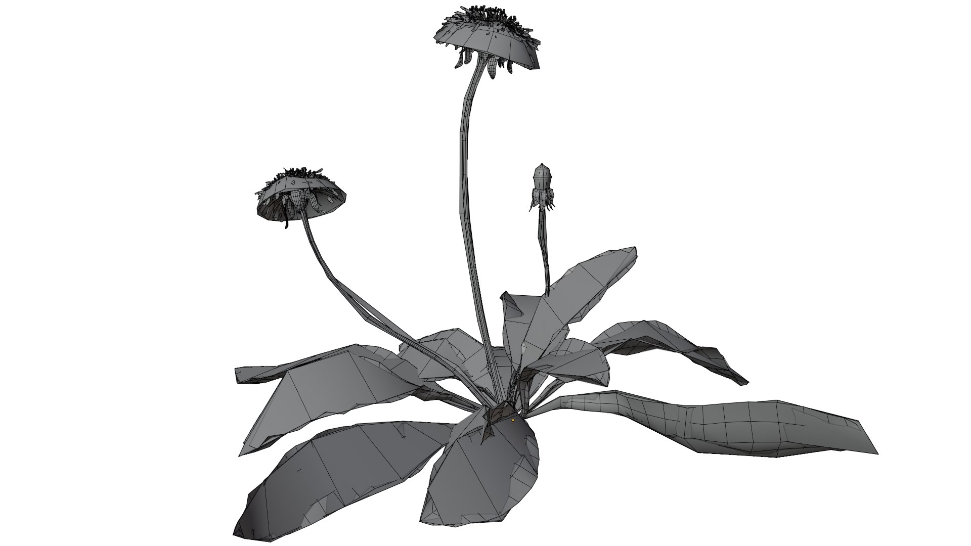 Dandelion Plant 3D Model - TurboSquid 2234007