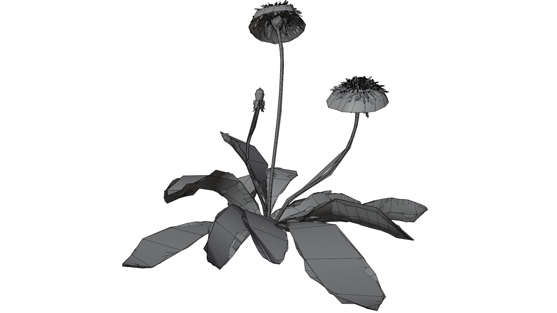Dandelion Plant 3D Model - TurboSquid 2234007