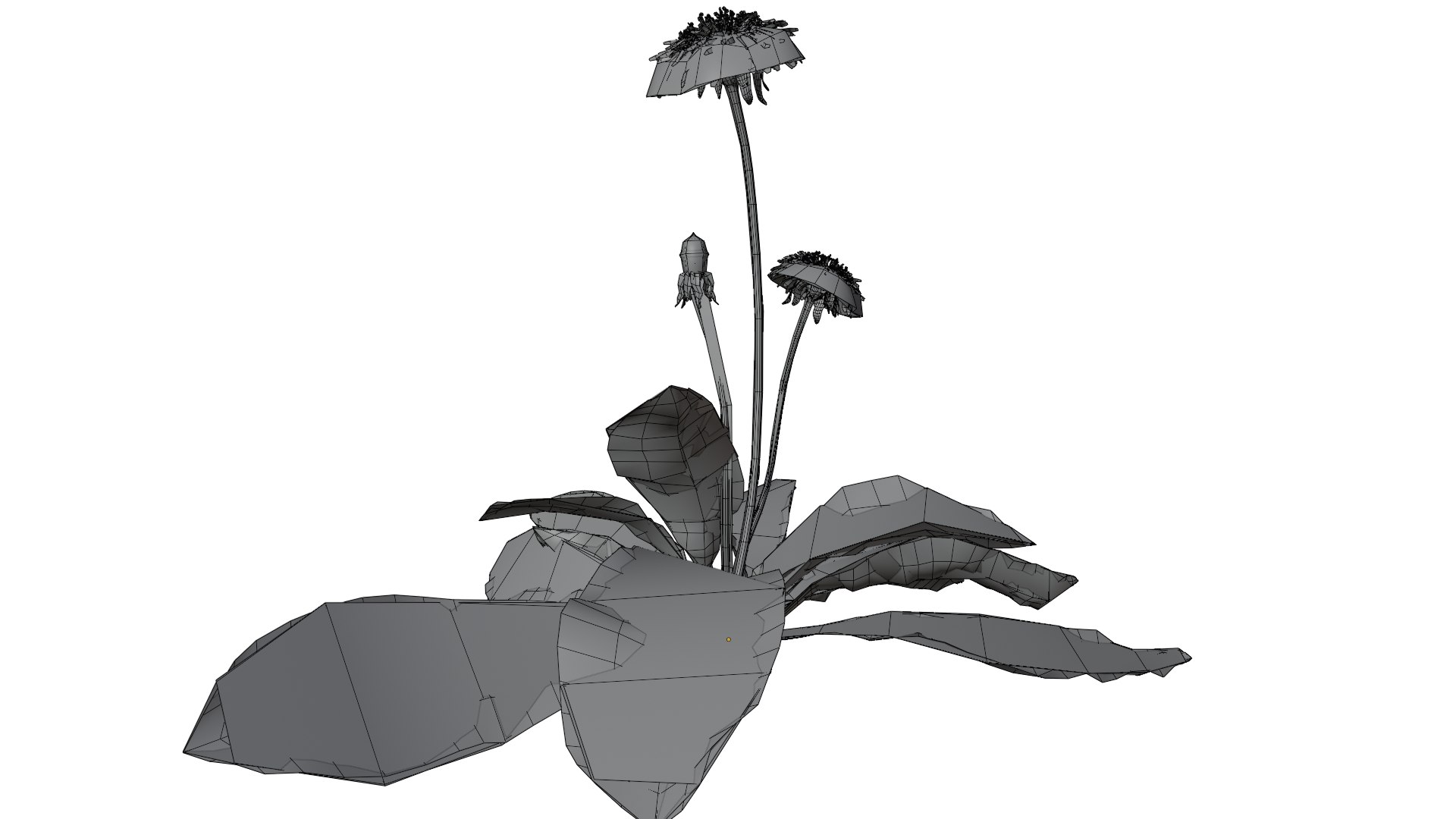 Dandelion Plant 3D Model - TurboSquid 2234007