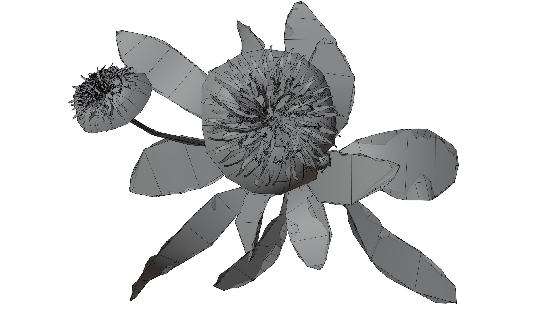Dandelion Plant 3D Model - TurboSquid 2234007