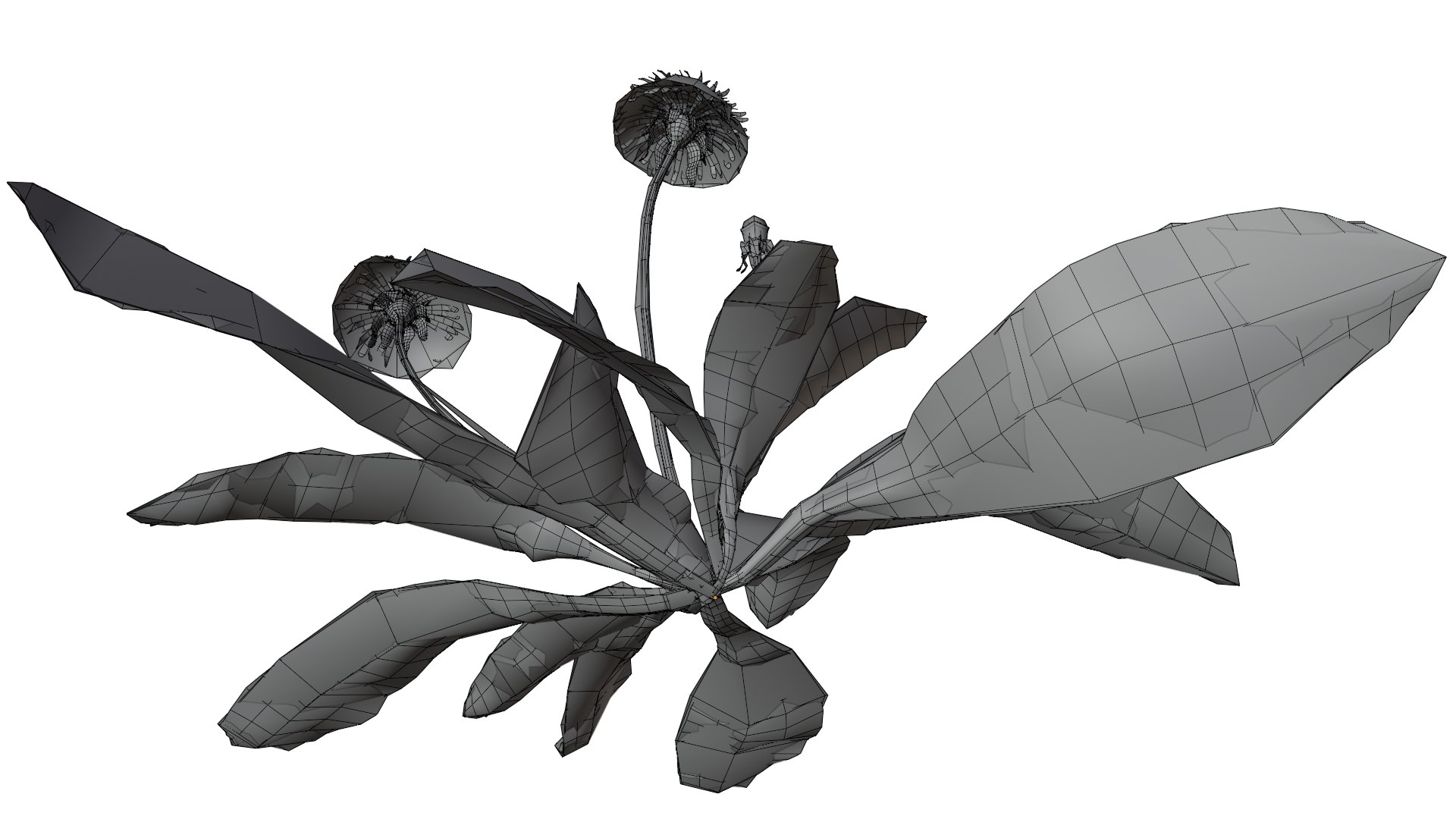 Dandelion Plant 3D Model - TurboSquid 2234007