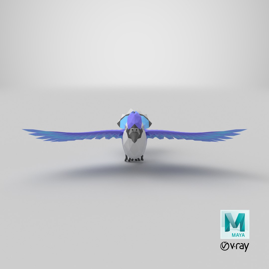 Bird----blue-bird-flying 3D Model - TurboSquid 1246277