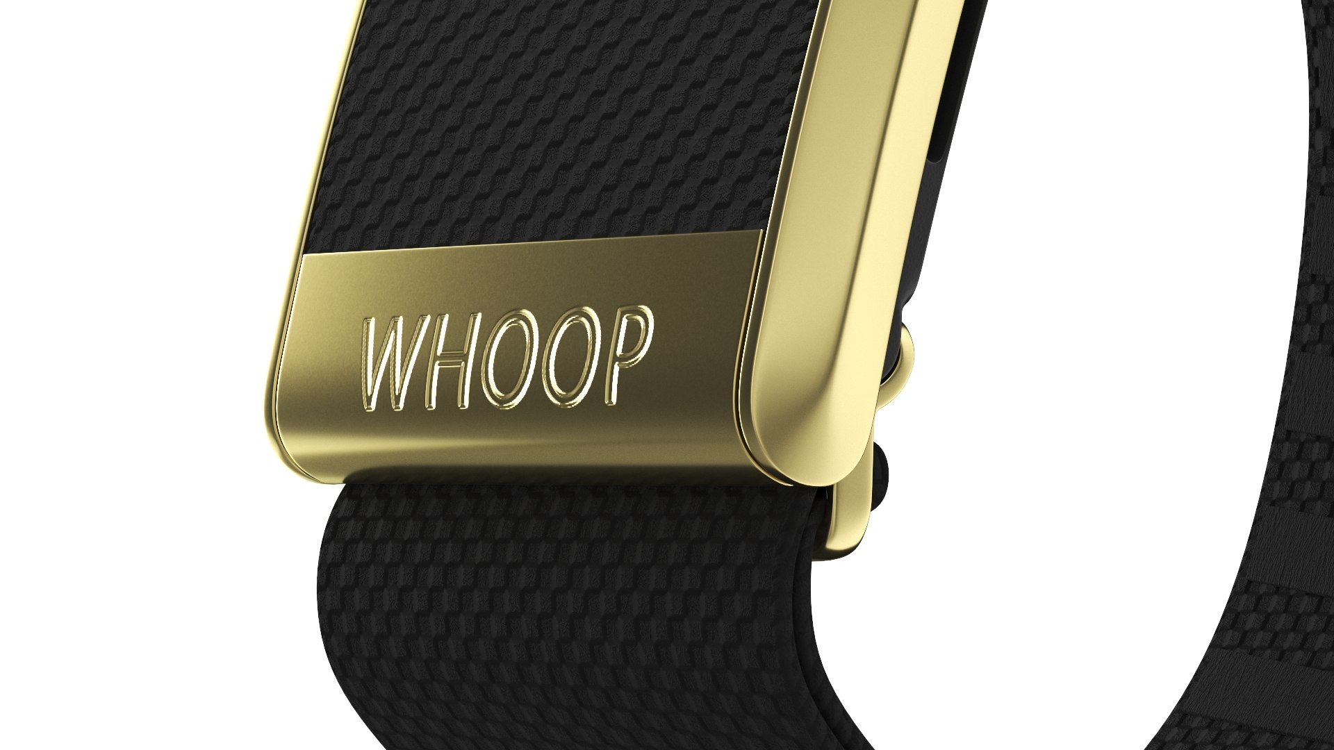 Health Tracker Whoop 4 Black Rigged Model - TurboSquid 2115356