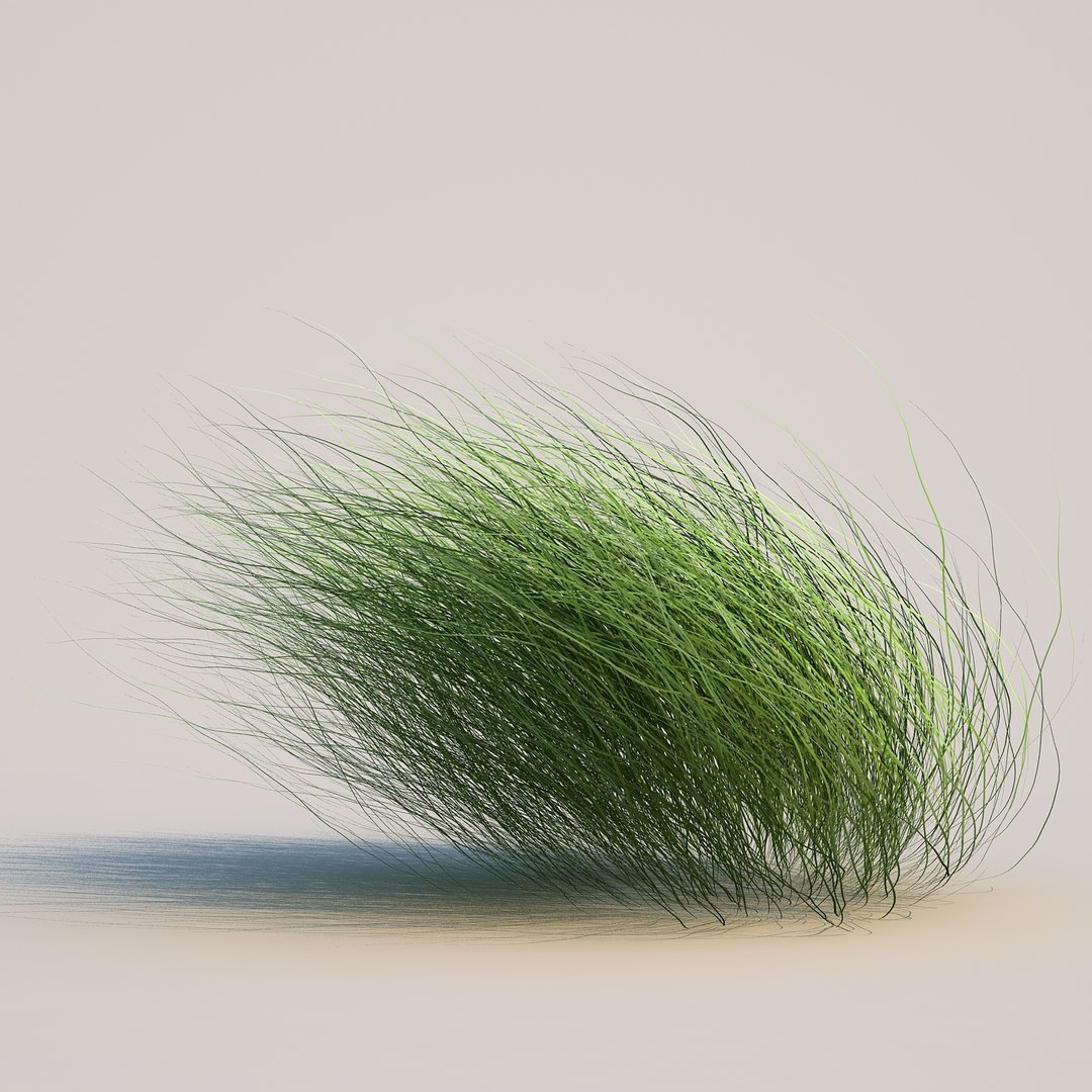 2 Grass Scatter 3d Model
