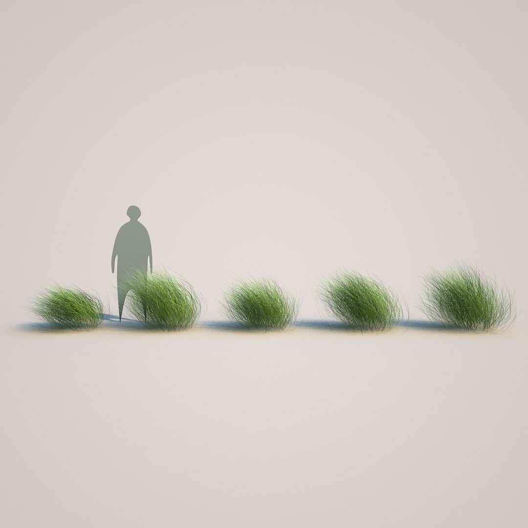 2 Grass Scatter 3d Model