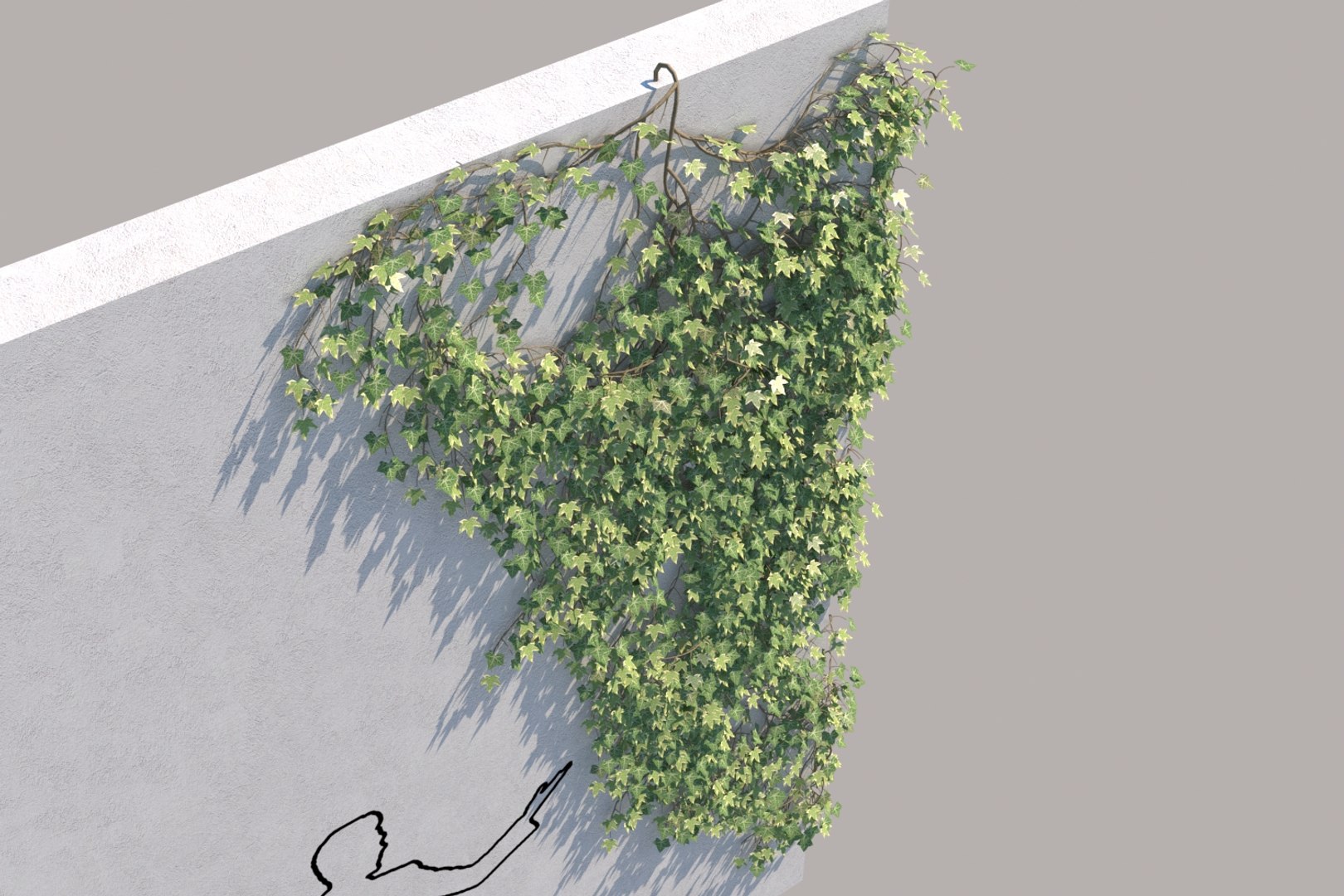 Ivy - Wall 3D Model - TurboSquid 1408248