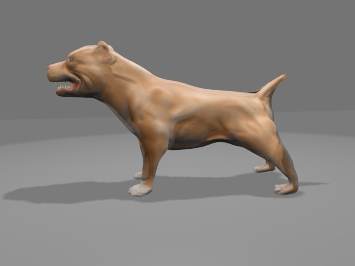 3d Pit Bull Model