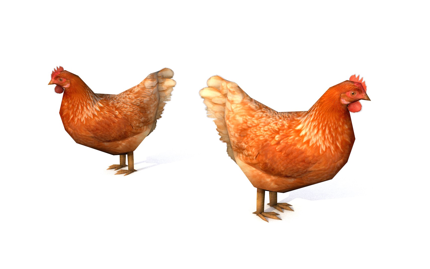 Chicken Rigged Animations 3D - TurboSquid 1646773