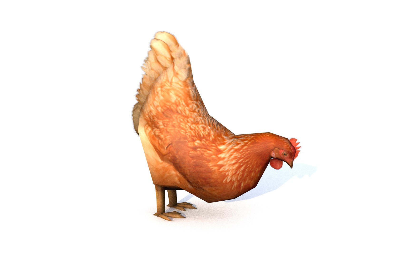 Chicken Rigged Animations 3D - TurboSquid 1646773