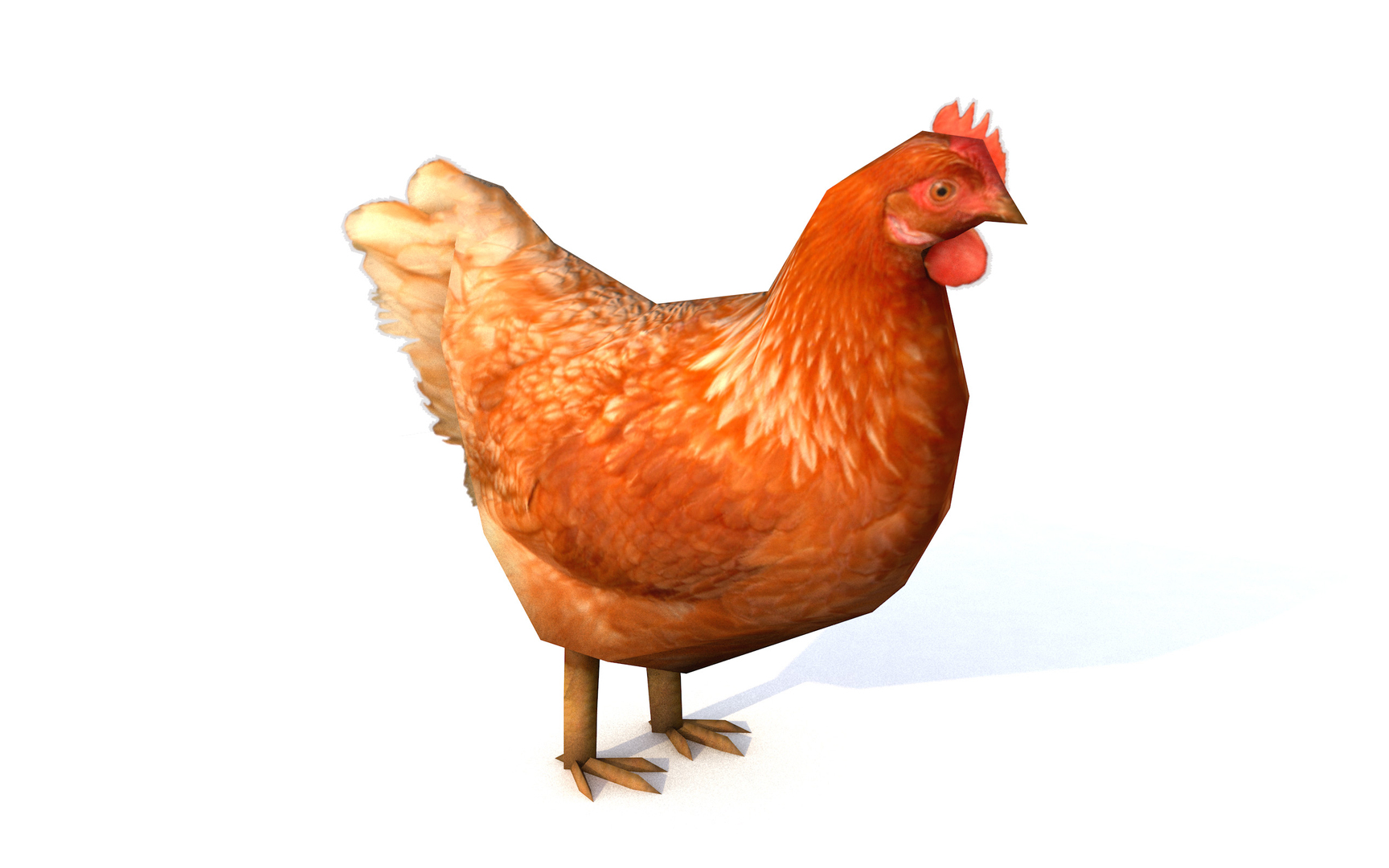 modelo 3d Lowpoly animado amañado de pollo - TurboSquid 1646773