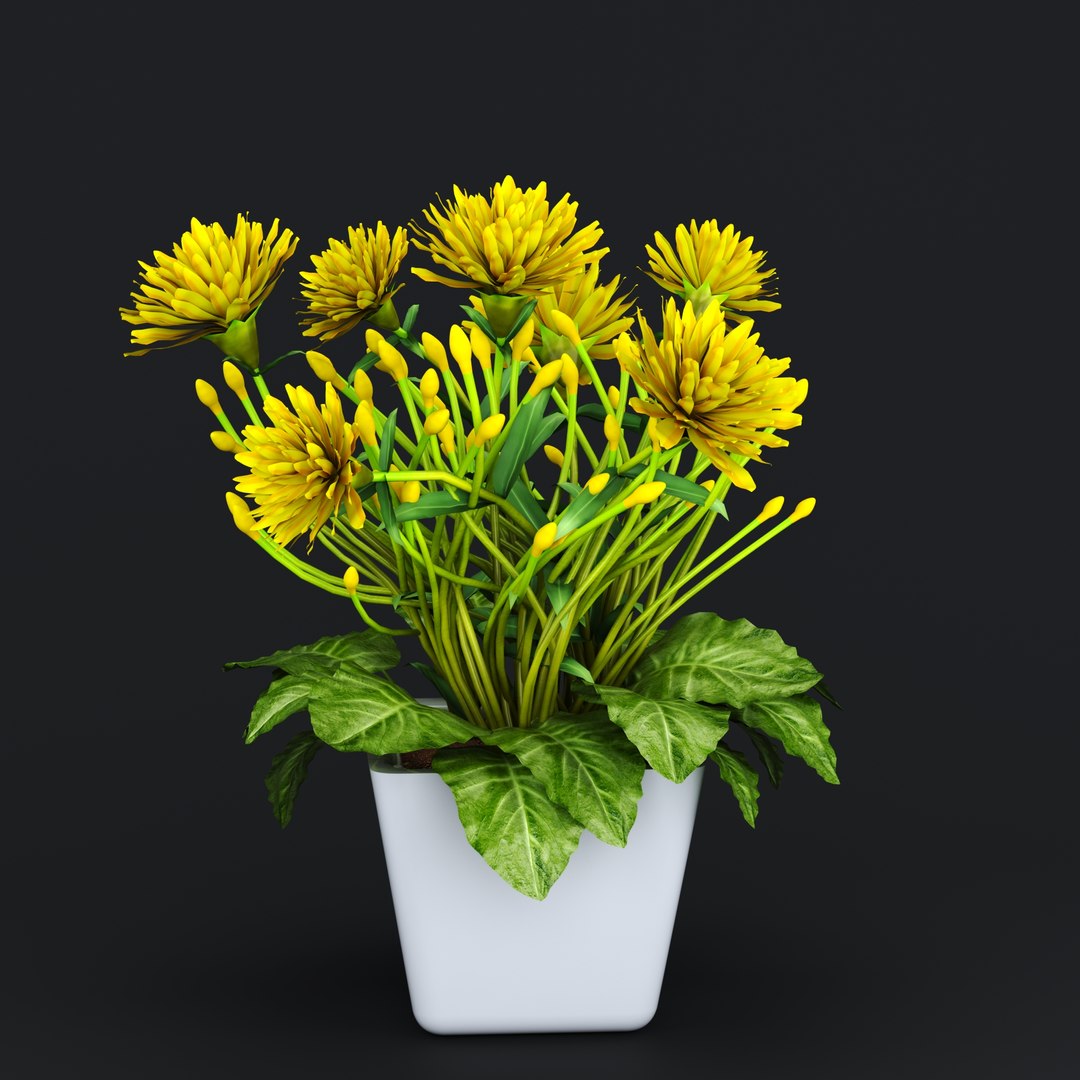 3D Indoor Plant Flower in a Pot model - TurboSquid 2137729