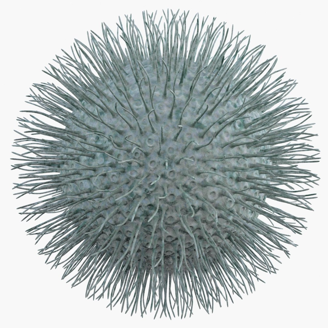 micro object mht max