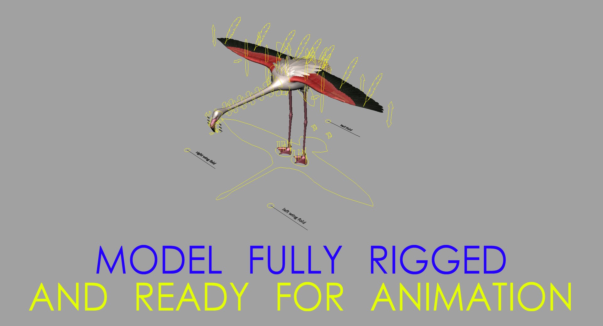 phoenicopterus roseus greater flamingo obj