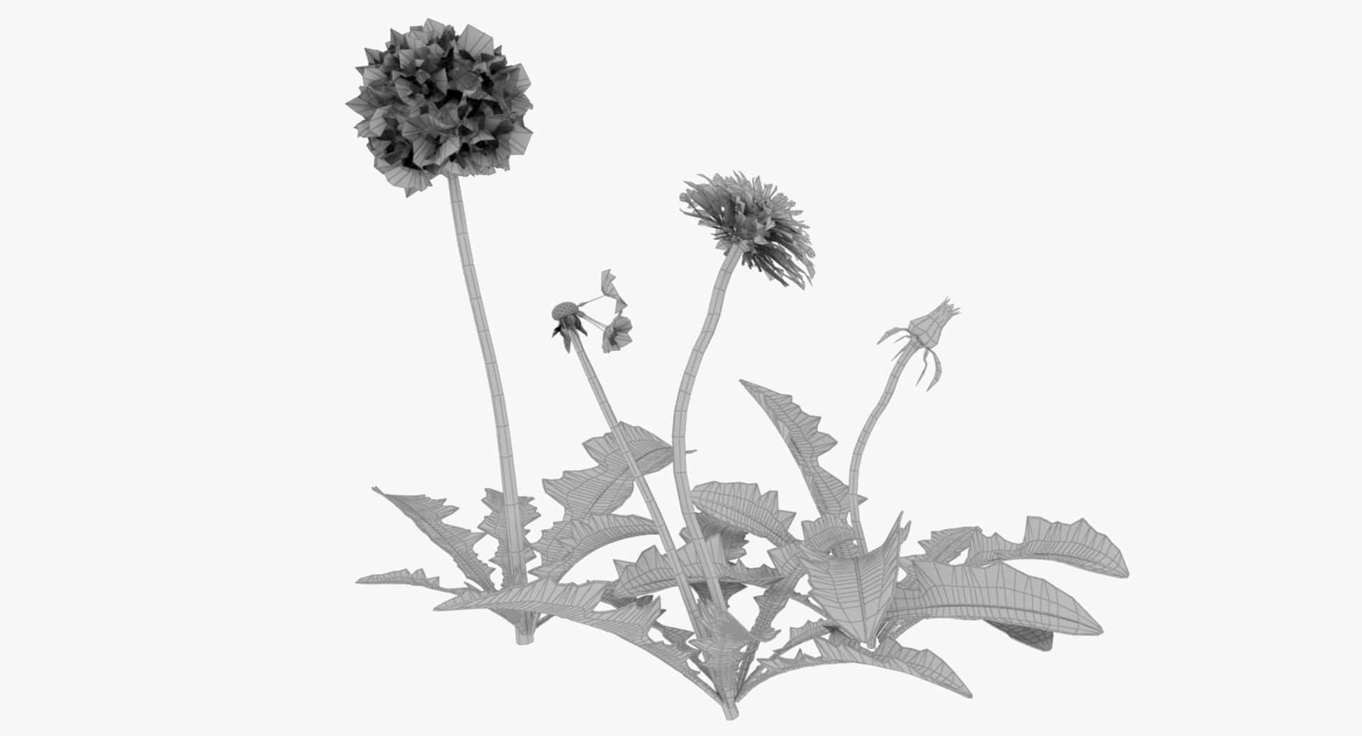 3D Dandelions - TurboSquid 1191023