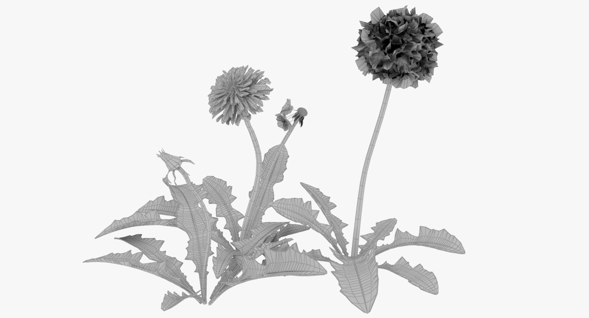 3D Dandelions - TurboSquid 1191023