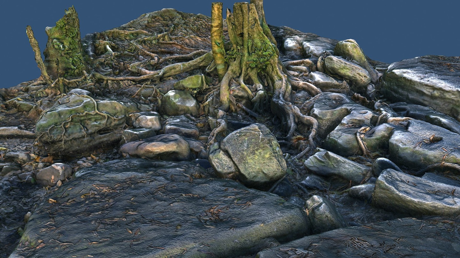 3D Jungle Rock Ground Model - TurboSquid 2278986