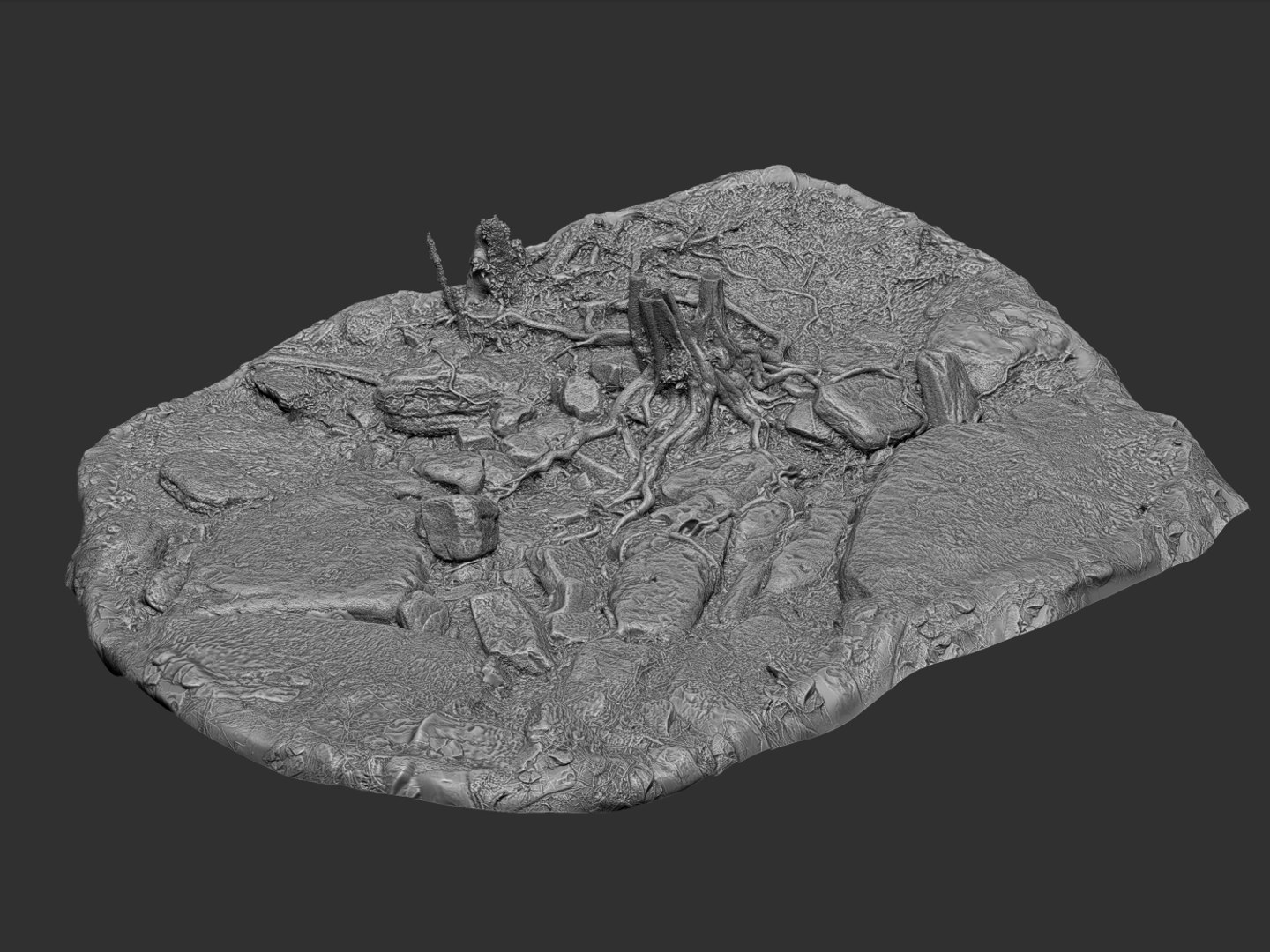 3D Jungle Rock Ground Model - TurboSquid 2278986