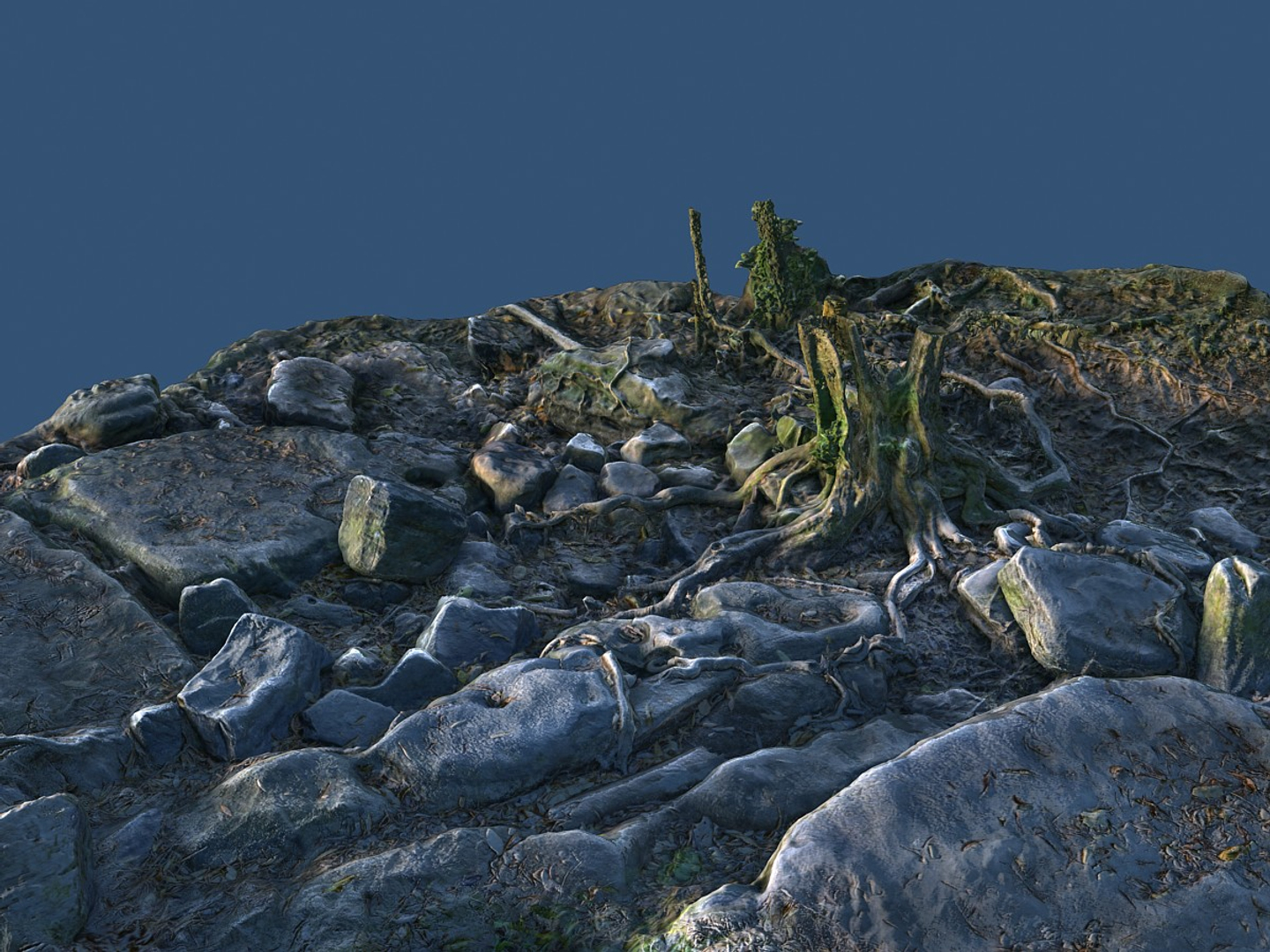 3D Jungle Rock Ground Model - TurboSquid 2278986