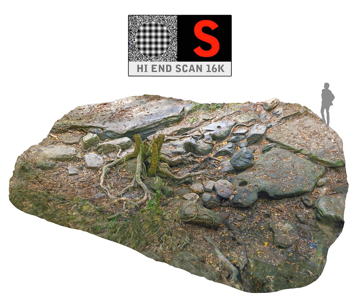 3D Jungle Rock Ground Model - TurboSquid 2278986