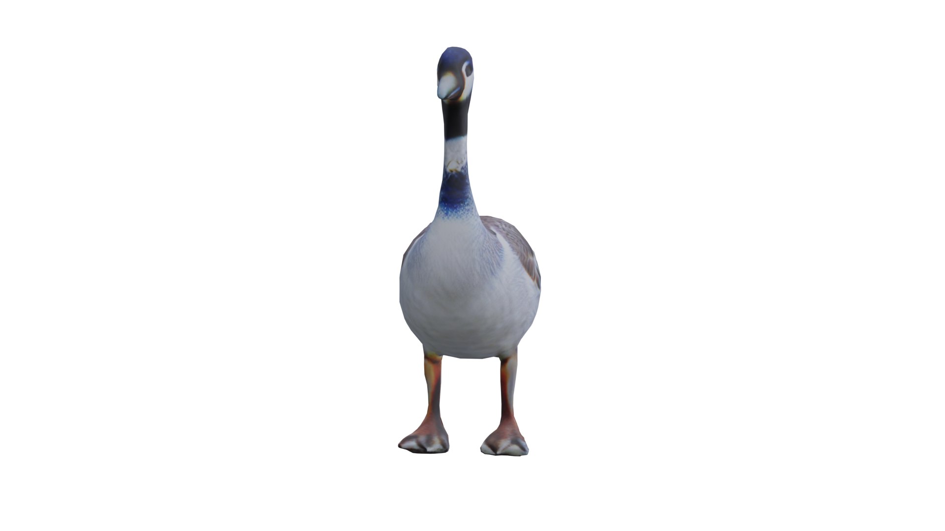 Realistic Goose Low Poly 3D - TurboSquid 2261630