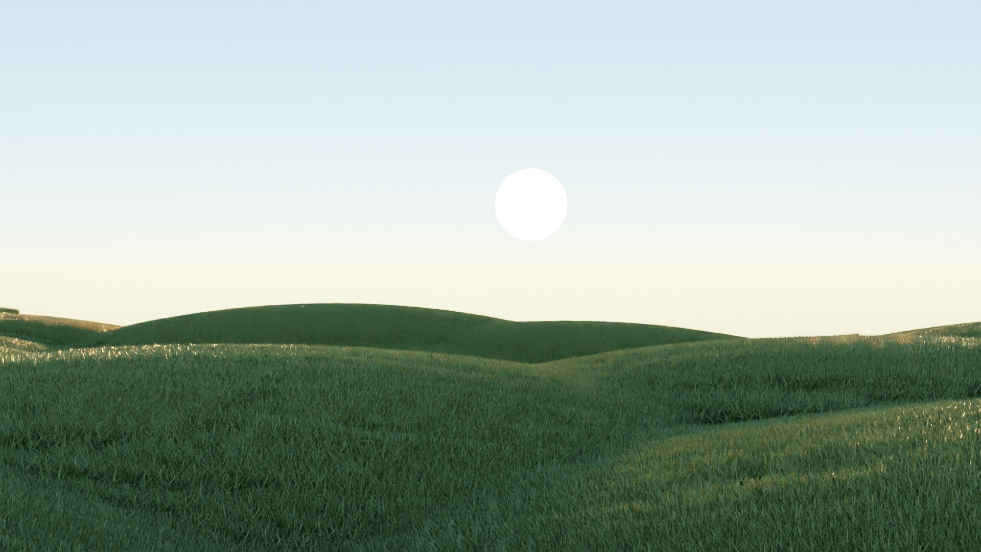 Realistic Nature Field With Grass 3D - TurboSquid 2192756