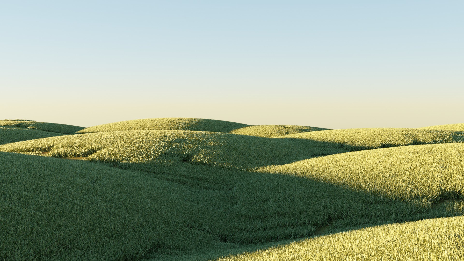 Realistic Nature Field With Grass 3D - TurboSquid 2192756