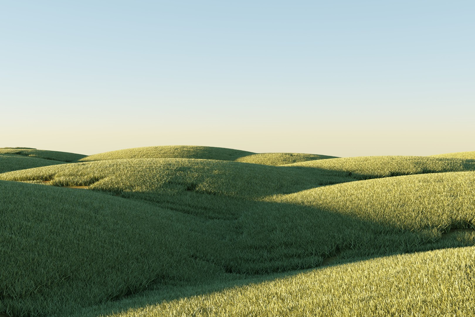 Realistic Nature Field With Grass 3D - TurboSquid 2192756
