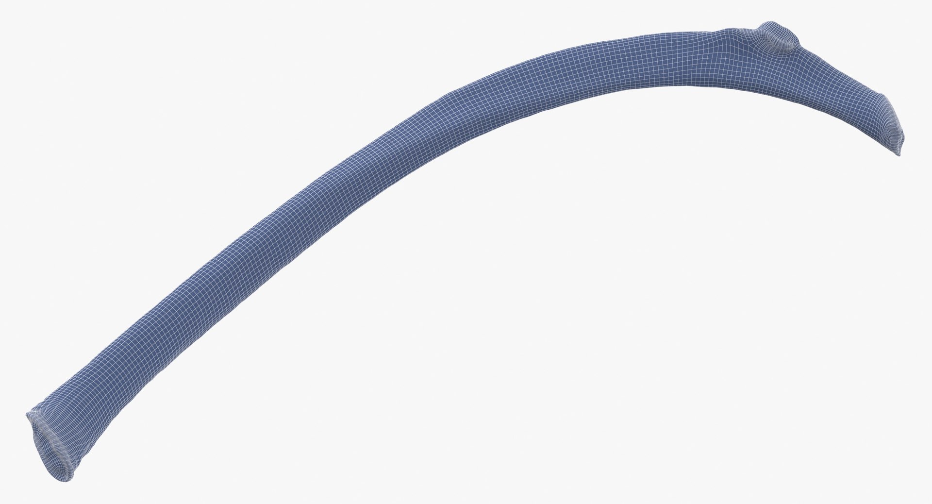 3D Kangaroo Red Necked Wallaby Rib T11 Model - TurboSquid 2069498