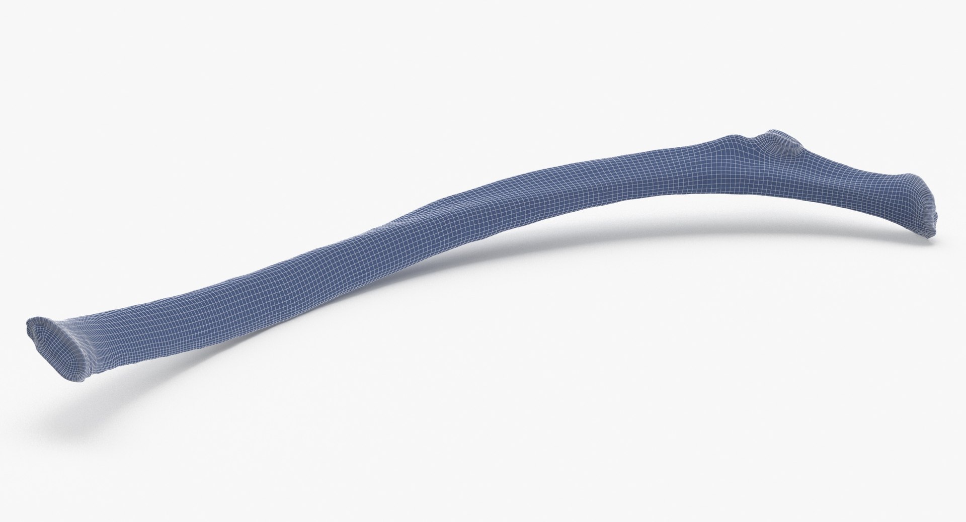 3D Kangaroo Red Necked Wallaby Rib T11 Model - TurboSquid 2069498