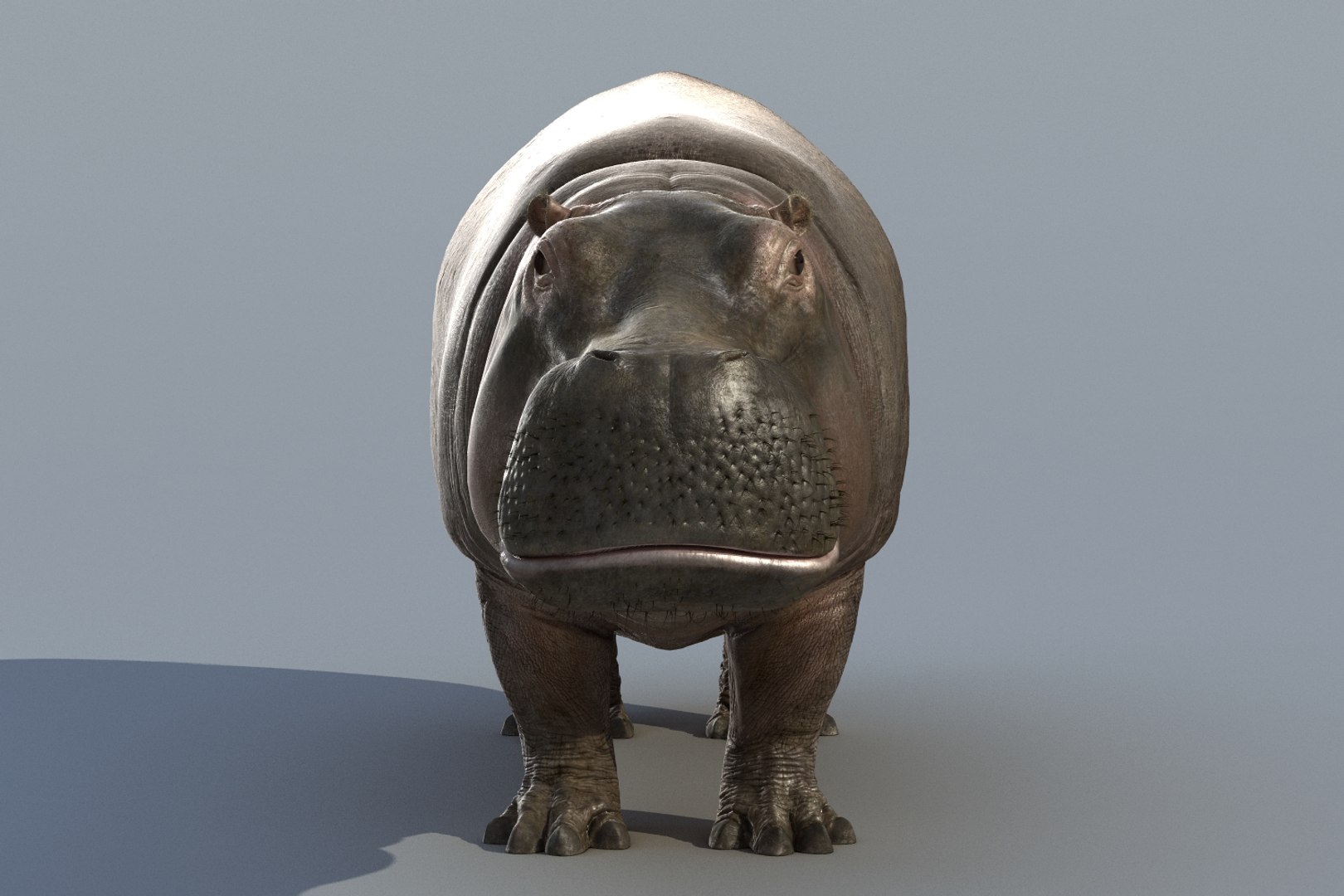 max heavy animals rig pack