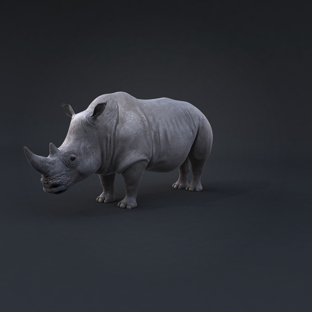 Max Heavy Animals Rig Pack