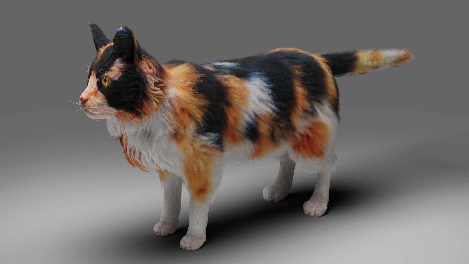 3D Fur Calico Cat V04 Rigged And Animated - TurboSquid 1981455