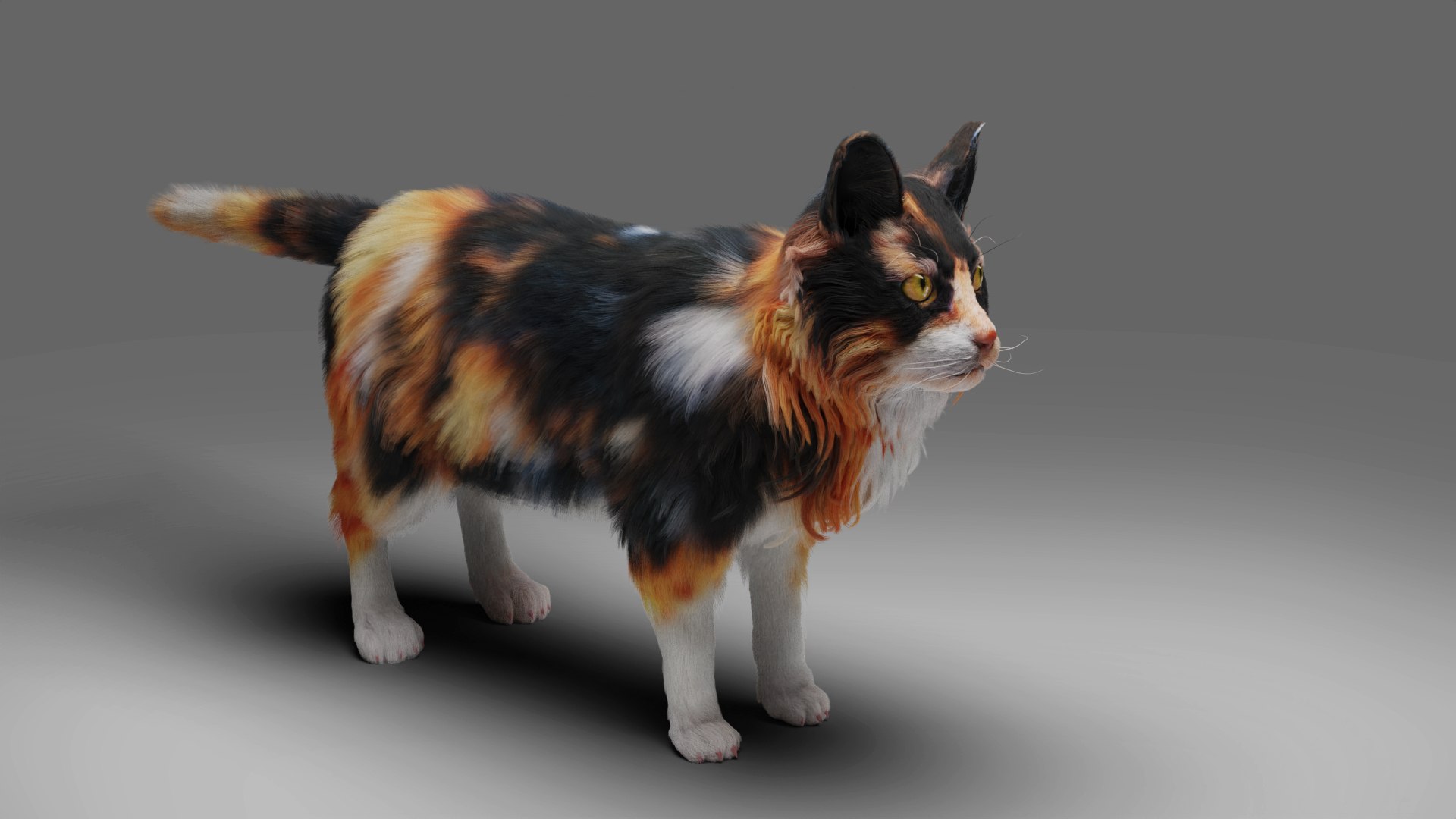 3D Fur Calico Cat V04 Rigged And Animated - TurboSquid 1981455