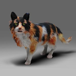 Cat Blender Models for Download | TurboSquid