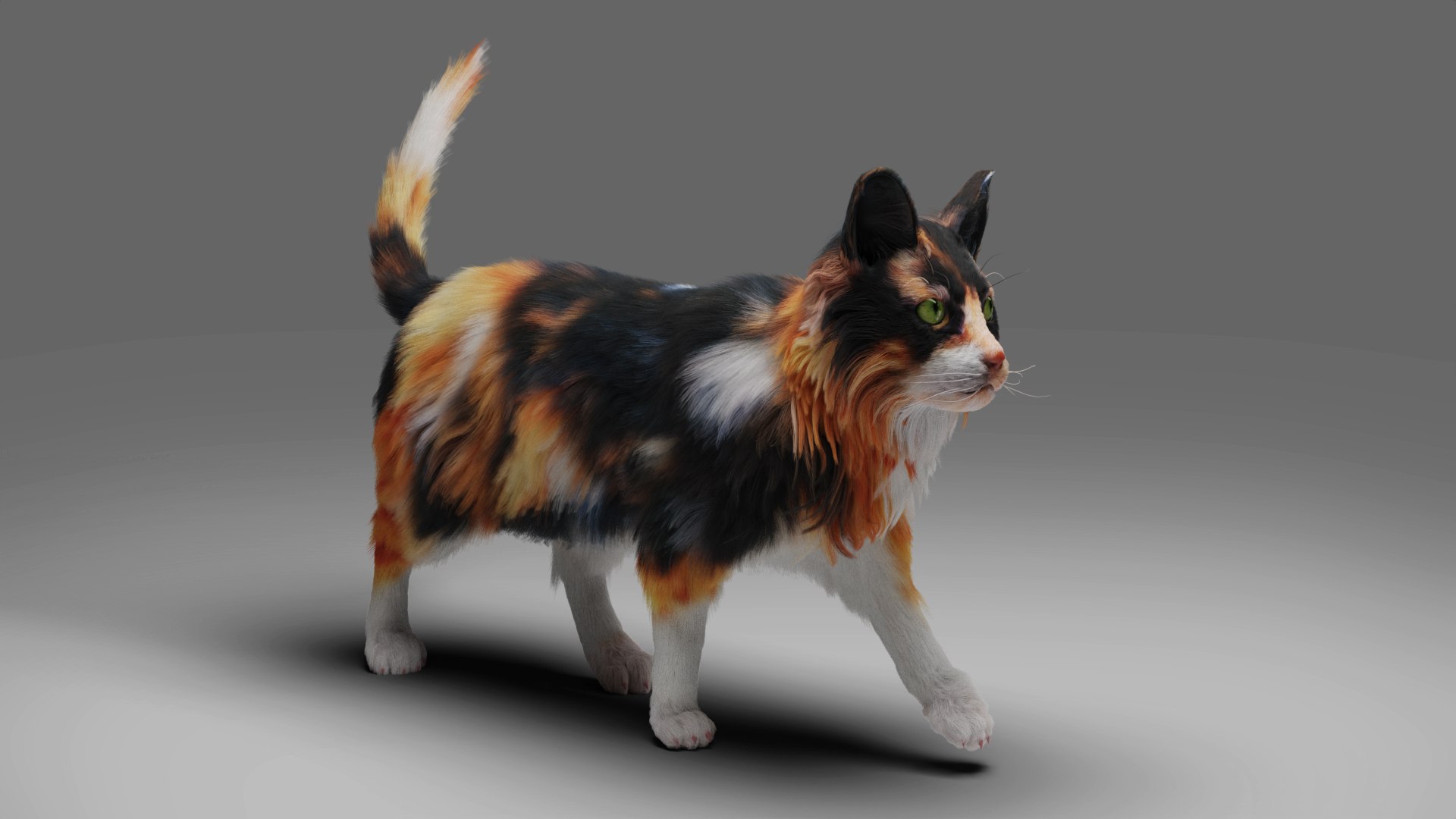 3D Fur Calico Cat V04 Rigged And Animated - TurboSquid 1981455