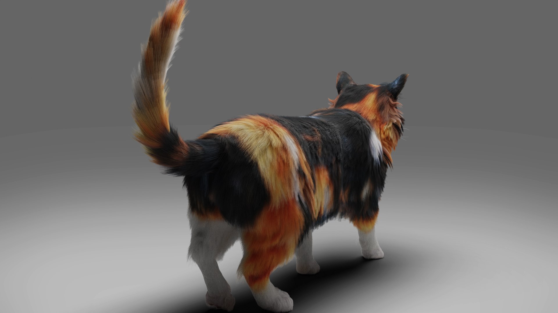 3D Fur Calico Cat V04 Rigged And Animated - TurboSquid 1981455