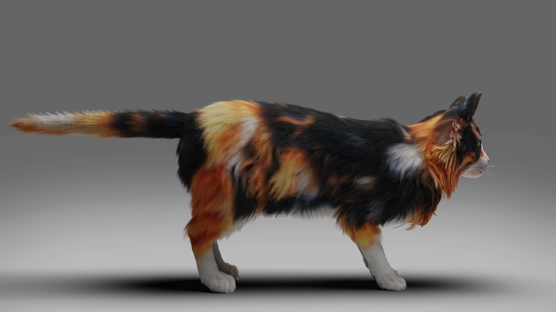 3D Fur Calico Cat V04 Rigged And Animated - TurboSquid 1981455