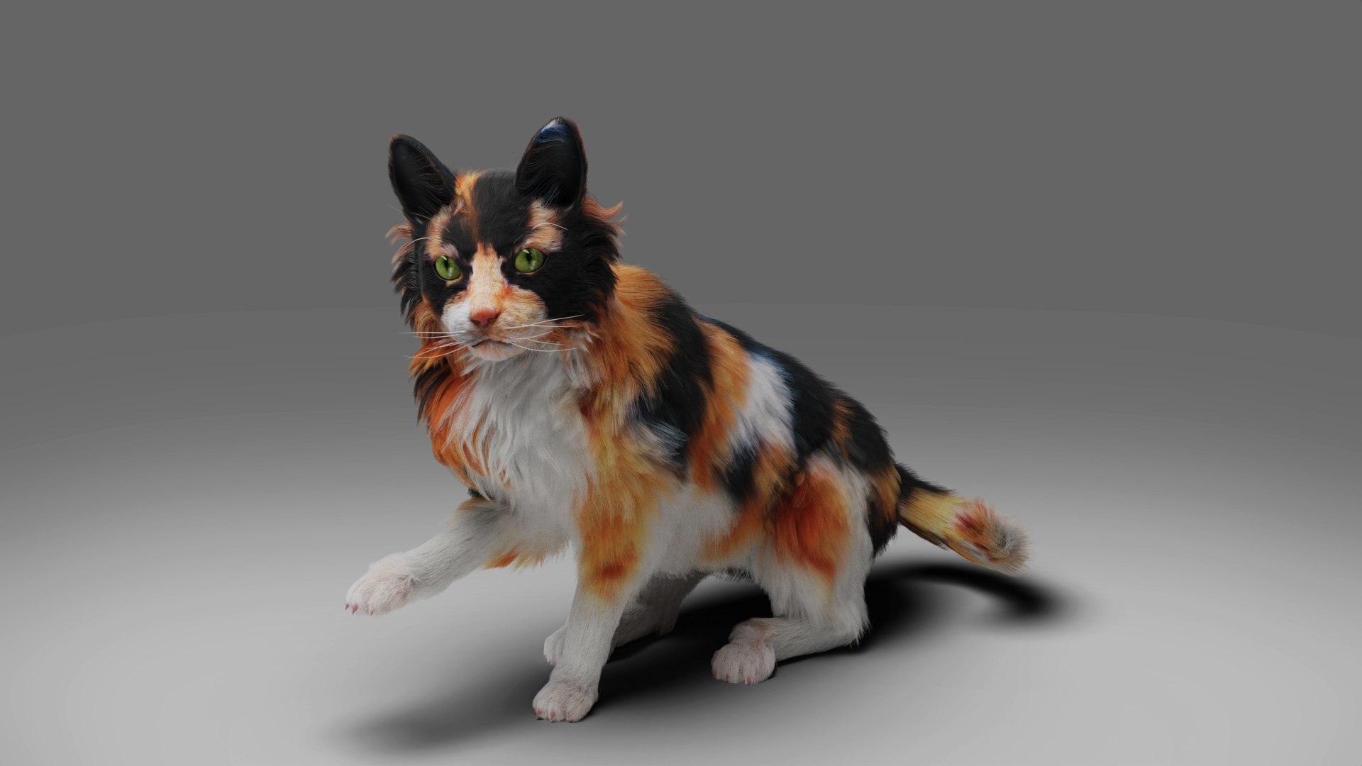 3D Fur Calico Cat V04 Rigged And Animated - TurboSquid 1981455