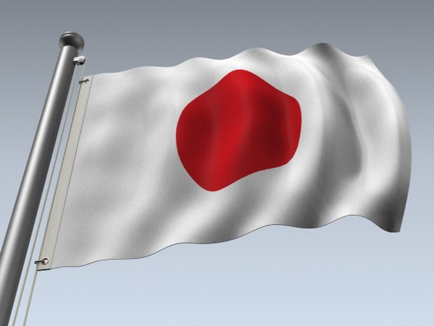 Official Flag Japan Max